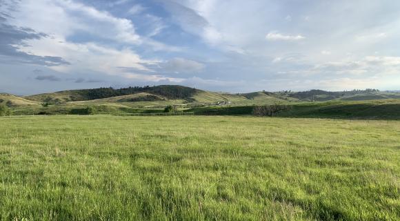 Rangeland Vegetation | Rangelands Gateway